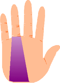 Palmistry.Net: Talk 37 - The Apollo Line - FengShui.Geomancy.Net