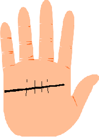 Palmistry.Net: Talk 20 - Heart Line (Vertical Lines) - FengShui ...