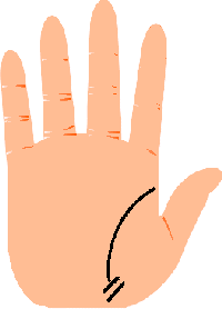 Palmistry.Net: Talk 6 - Life Line (Parallel / Triangle / Square ...