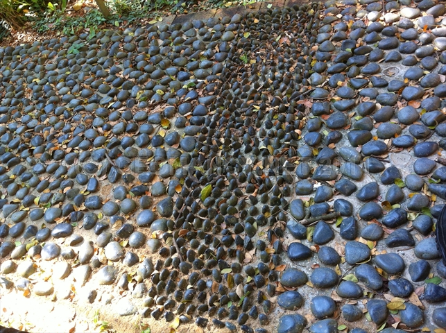 Pebble Walking Paths popular in the 1980's - Chinese Culture (General ...